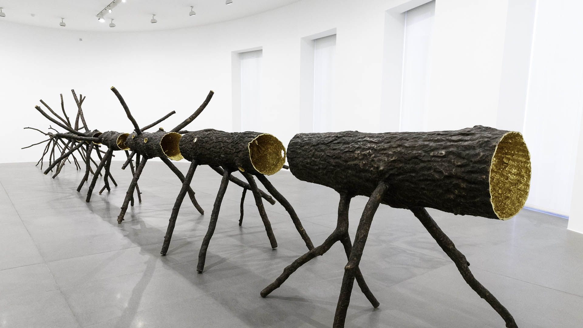 Giuseppe Penone - Museum Voorlinden