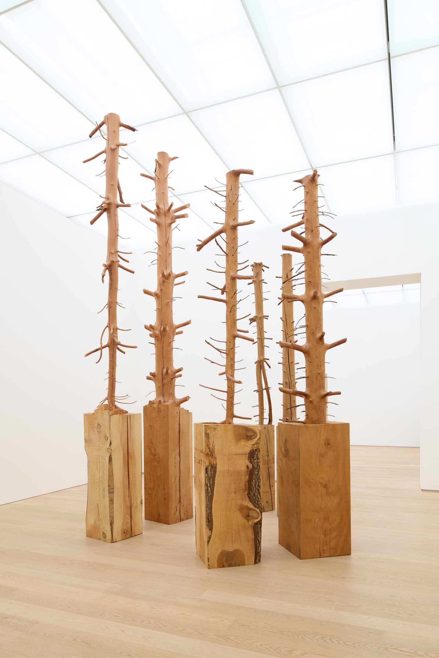 Giuseppe Penone - Voorlinden